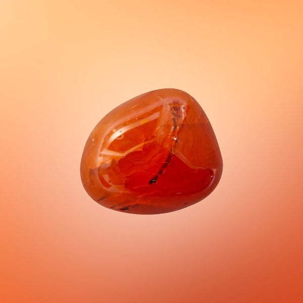 Cornaline : Vertus, Propriétés & Signification Secrète - L'Arbre des ...